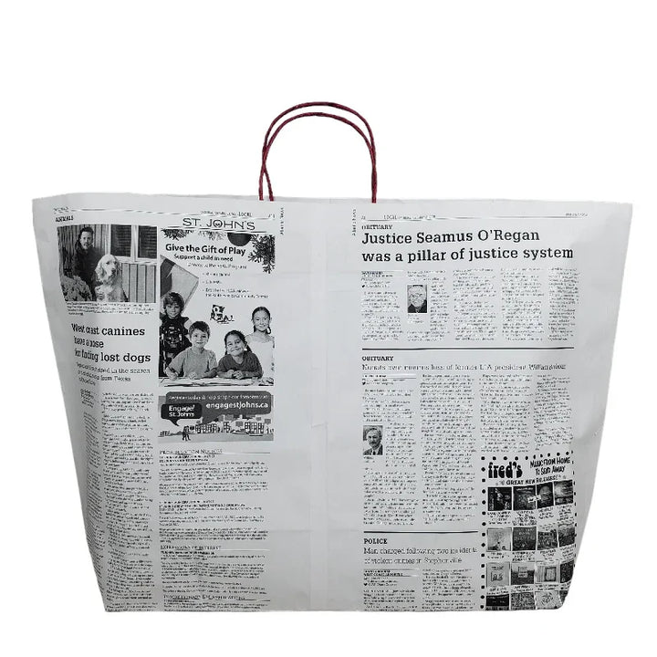 Small Paper Bags, Cardboard Bags, News Paper Bag Canada – Greenii Inc.